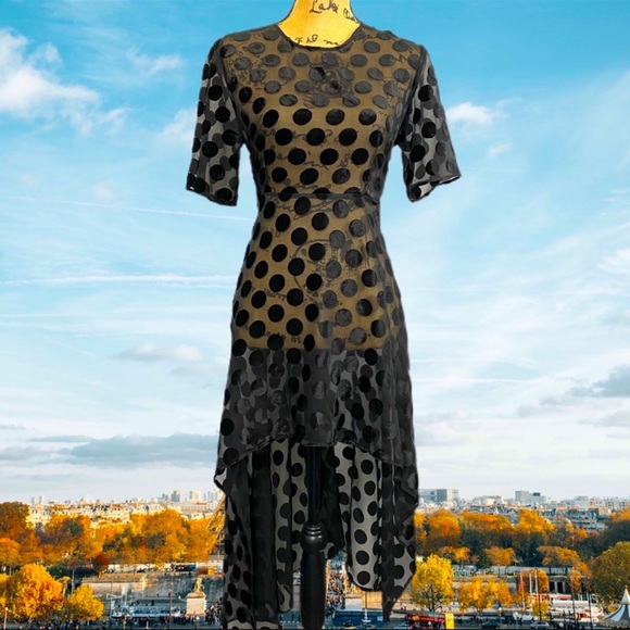 Zara | Dresses | Zara Sheer Dress | Poshmark
